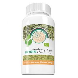 MORIN Forte MARGAN | Comprar al Mejor Precio